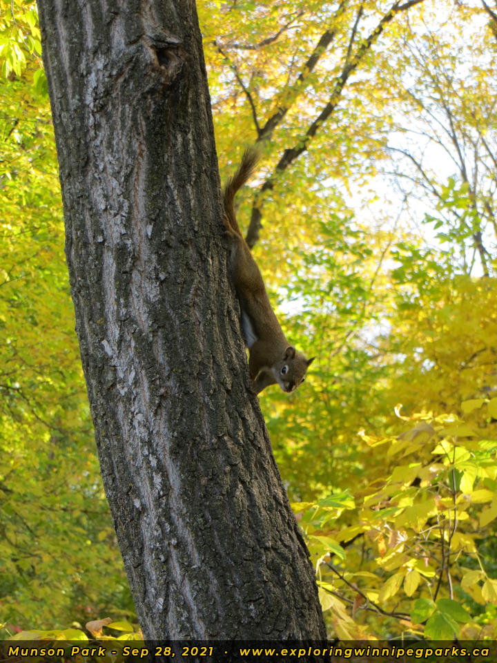 Munson Park | Exploring Winnipeg Parks